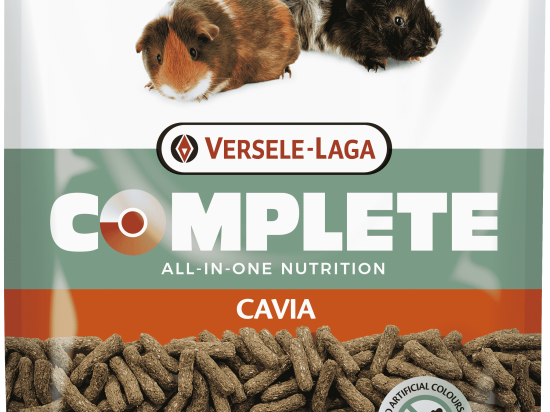 Complete Cavia 500 g | Cap Animal