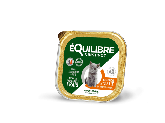 Mousses riches en volaille & aux carottes pour CHATON | Cap Animal